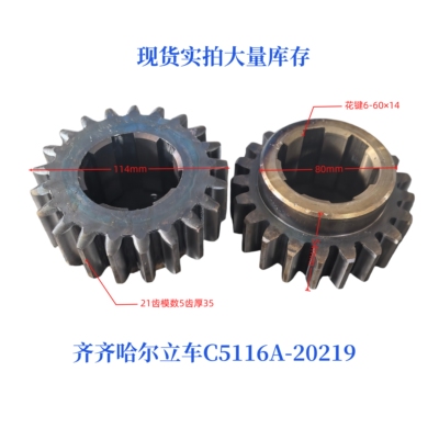 齐齐哈尔立车齿轮20219-Z21/M5