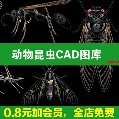 动物昆虫鸟类鱼类家禽蝴蝶花纹宠物图案平面立面CAD图库图块素材