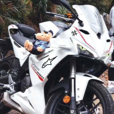 适用赛科龙RC401/RC250/600贴纸