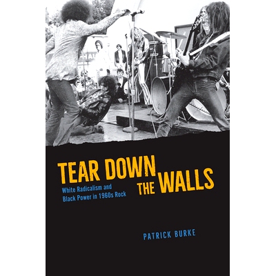 预订 Tear Down the Walls: White Radicalism and Black Power in 1960s Rock 拆除墙壁：20世纪60年代摇滚乐中的白人激进主义与