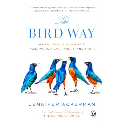预订 The Bird Way: A New Look at How Birds Talk, Work, Play, Parent, and Think 鸟道: 9780735223035