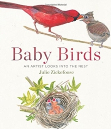 【预订】Baby Birds: An Artist Looks Into the Nest