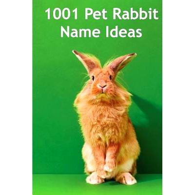 预订 1001 Pet Rabbit Name Ideas: The most popular, quirky, and fun names you could give your pet rabbit!: 9781484114728