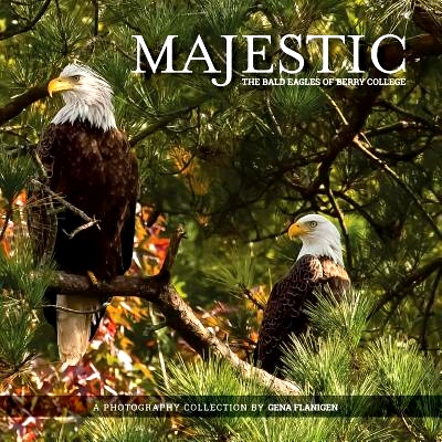 预订 Majestic: The Bald Eagles of Berry College: 9781522803379