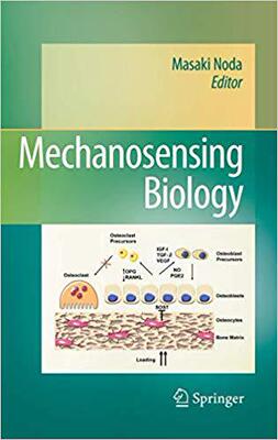 【预订】Mechanosensing Biology 9784431897569