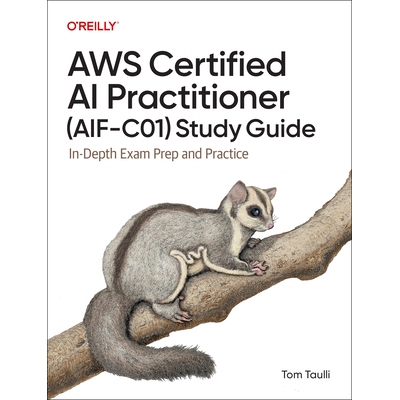 预订 AWS Certified AI Practitioner (Aif-C01) Study Guide In-Depth Exam Prep and Practice 9798341622333