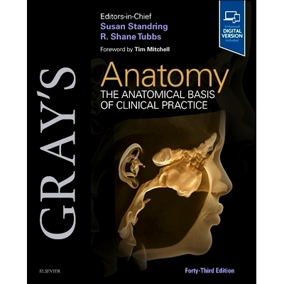 预订 Gray’s Anatomy: The Anatomical Basis of Clinical Practice: 9780443124785