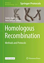 【预订】Homologous Recombination 9781071606469