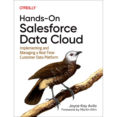 预订 Hands-On Salesforce Data Cloud: Implementing and Managing a Real-Time Customer Data Platform
