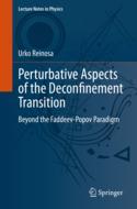 【预订】Perturbative Aspects of the Deconfinement Transition: Beyond the Fad 9783031113741