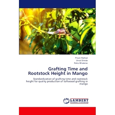 预订 Grafting Time and Rootstock Height in Mango: 9786207651146