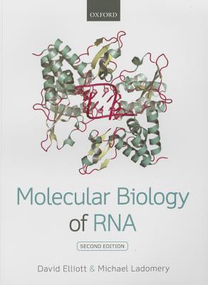 Molecular Biology of RNA 9780199671397
