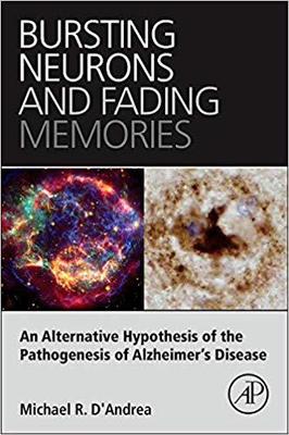 【预售】Bursting Neurons and Fading Memories