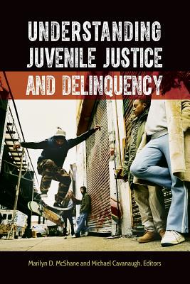 【预售】Understanding Juvenile Justice and Delinquency