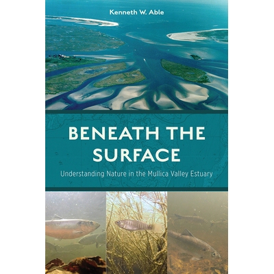 预订 Beneath the Surface: Understanding Nature in the Mullica Valley Estuary 表面之下：了解穆里卡河谷河口的自然: 9780813