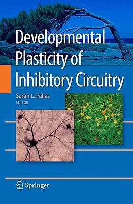 【预订】Developmental Plasticity of Inhibitory Circuitry