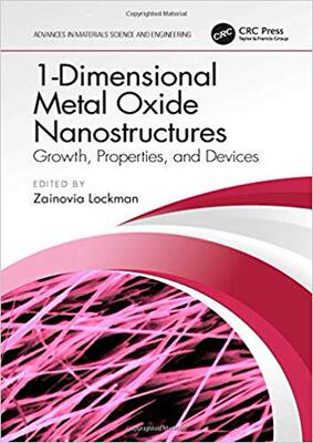 【预售】1-Dimensional Metal Oxide Nanostructures