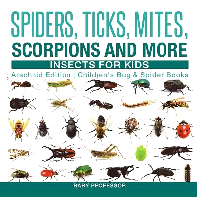 预订 Spiders, Ticks, Mites, Scorpions and More Insects for Kids - Arachnid Edition Children’s Bug & Spider Books: 97815