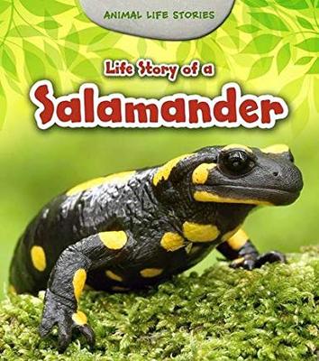 【预售】Life Story of a Salamander