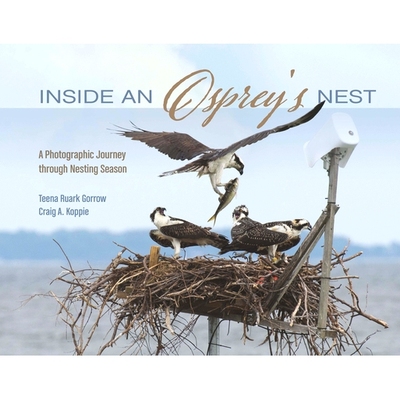 预订 Inside an Osprey’s Nest: A Photographic Journey Through Nesting Season: 9780764352003