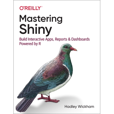 Mastering Shiny Build Interactive Apps, Reports, and Dashboards Powered by R 精通Shiny：构建由R提供支持的交互式应用程序