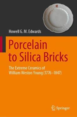 【预订】Porcelain to Silica Bricks