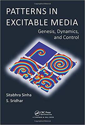 【预售】Patterns in Excitable Media
