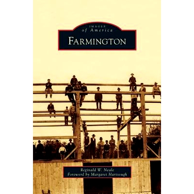 预订 Farmington: 9781531648350