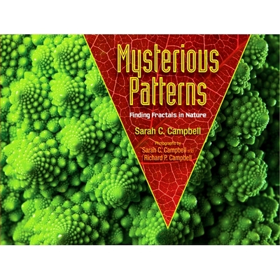 预订 Mysterious Patterns: Finding Fractals in Nature: 9781662620416