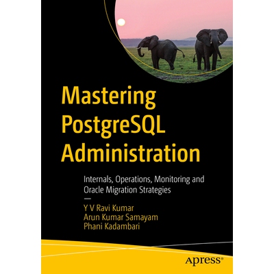 预订 Mastering PostgreSQL Administration: Internals, Operations, Monitoring, and Oracle Migration Strategies 掌握 Postgr