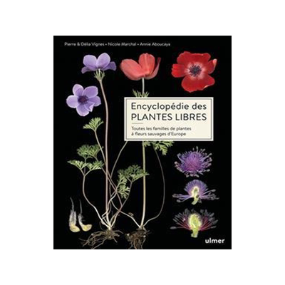 [预订]Encyclopédie des plantes libres : toutes les familles de plantes à fleurs sauvages d’Europe 9782379222504