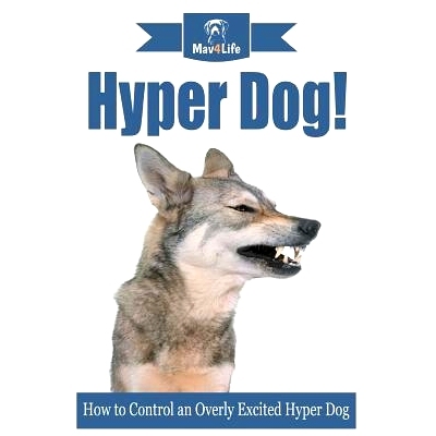 预订 Hyper Dog!: How to Control an Overly Excited Hyper Dog: 9781977644374