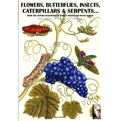预订 flowers, butterflies, insects, caterpillars & serpents...: From Sybilla Merian & Moses Hariss XVII-XVIII Centuries