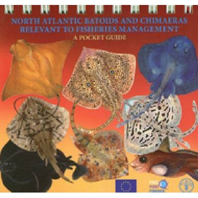 预订 North Atlantic Batoids and Chimaeras Relevant to Fisheries Management 北大西洋与渔业管理有关的鳐和银鲛: 97892510736