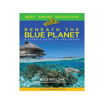 [预订]Beneath the Blue Planet 9781684812165