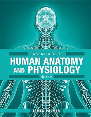 【预售】Essentials of Human Anatomy and Physiology