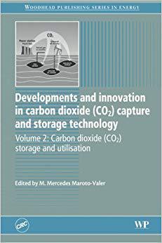 【预售】Developments and Innovation in Carbon Dioxide (CO2) Capture and Storage Technology