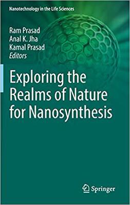 【预订】Exploring the Realms of Nature for Nanosynthesis