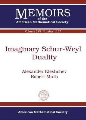 【预售】Imaginary Schur-Weyl Duality