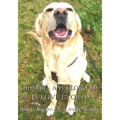 预订 Gideon - A Yellow Lab: A Love Story: 9781940197517