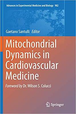 【预售】Mitochondrial Dynamics in Cardiovasc...