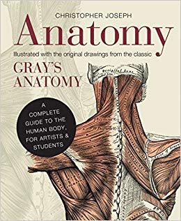 【预售】Anatomy: A Complete Guide to the Hum...