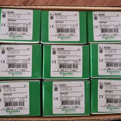 {议价}DL1BDB3正品