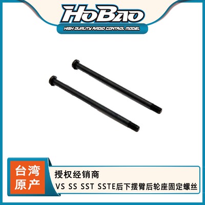 禾宝HOBAO 90028 VS SS SST SSTE VTE后摆臂轮座固定螺丝 6元运费