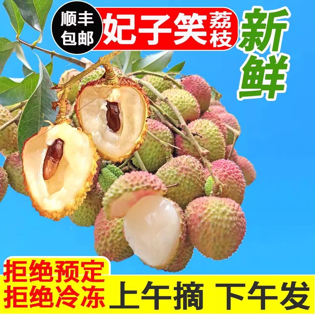 正宗妃子笑荔枝新鲜采现摘现发小核老树大果王10斤现货