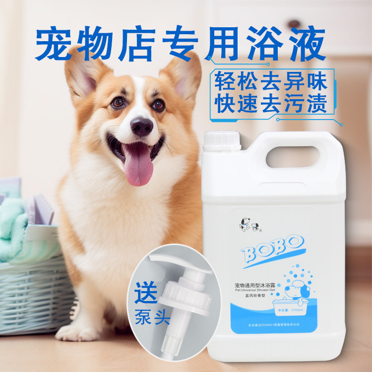 波波狗狗用品萨摩耶金毛洗澡沐浴露浴液香波大桶宠物店专用