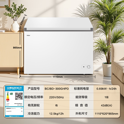 Haier/海尔 BC/BD-300GHPD