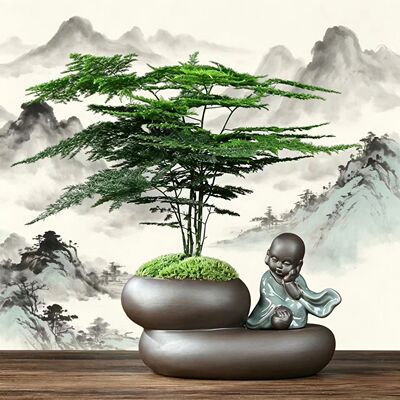 文竹小和尚禅意陶瓷花盆室内
