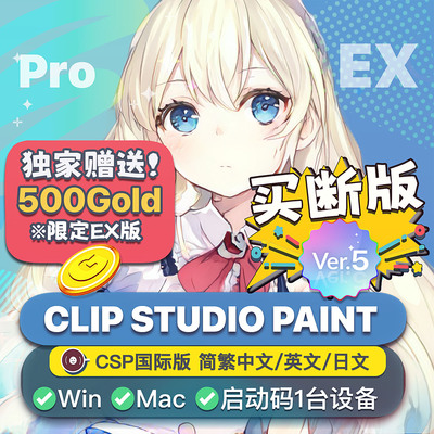 CSP国际版买断版5.0正版启动授权