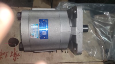 合肥长源液压 HCHC 齿轮油泵CBGZ2032-BLP液压泵后进后出润滑油泵